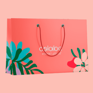 Custom Retail Bags With Logo | Custom Printed Shopping Bags & Packaging